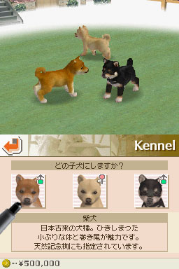 Nintendogs (NDS) - New Screens + Wallpaper | NeoGAF